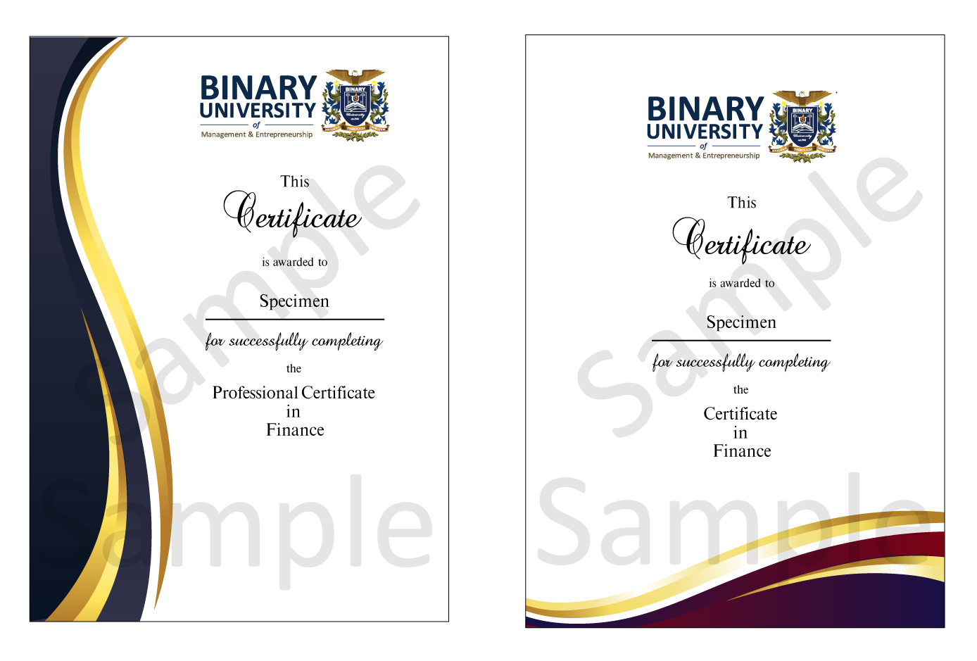 ICP – Binary University